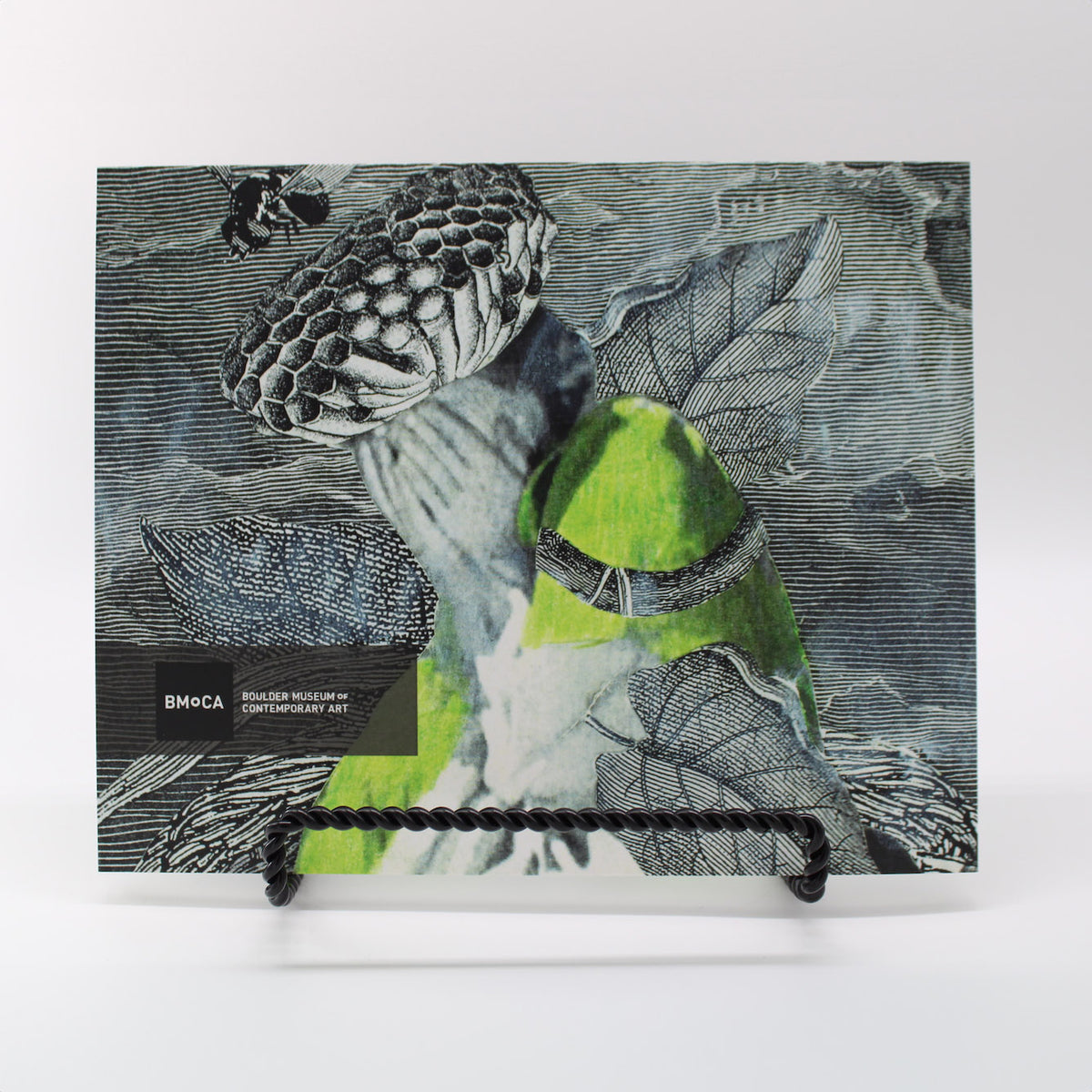 Night Reels: The Work of Stacey Steers – BMoCA